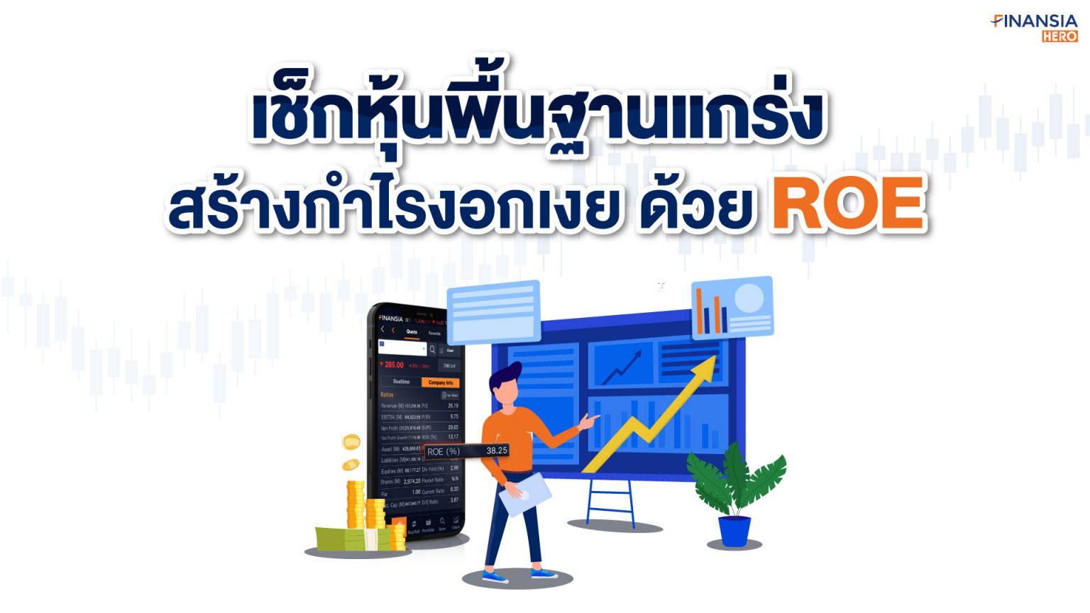 ROE คืออะไร ควรมีค่าเท่าไร? เคล็ดลับวิเคราะห์ผลตอบแทนจากทุน - Finansia HERO